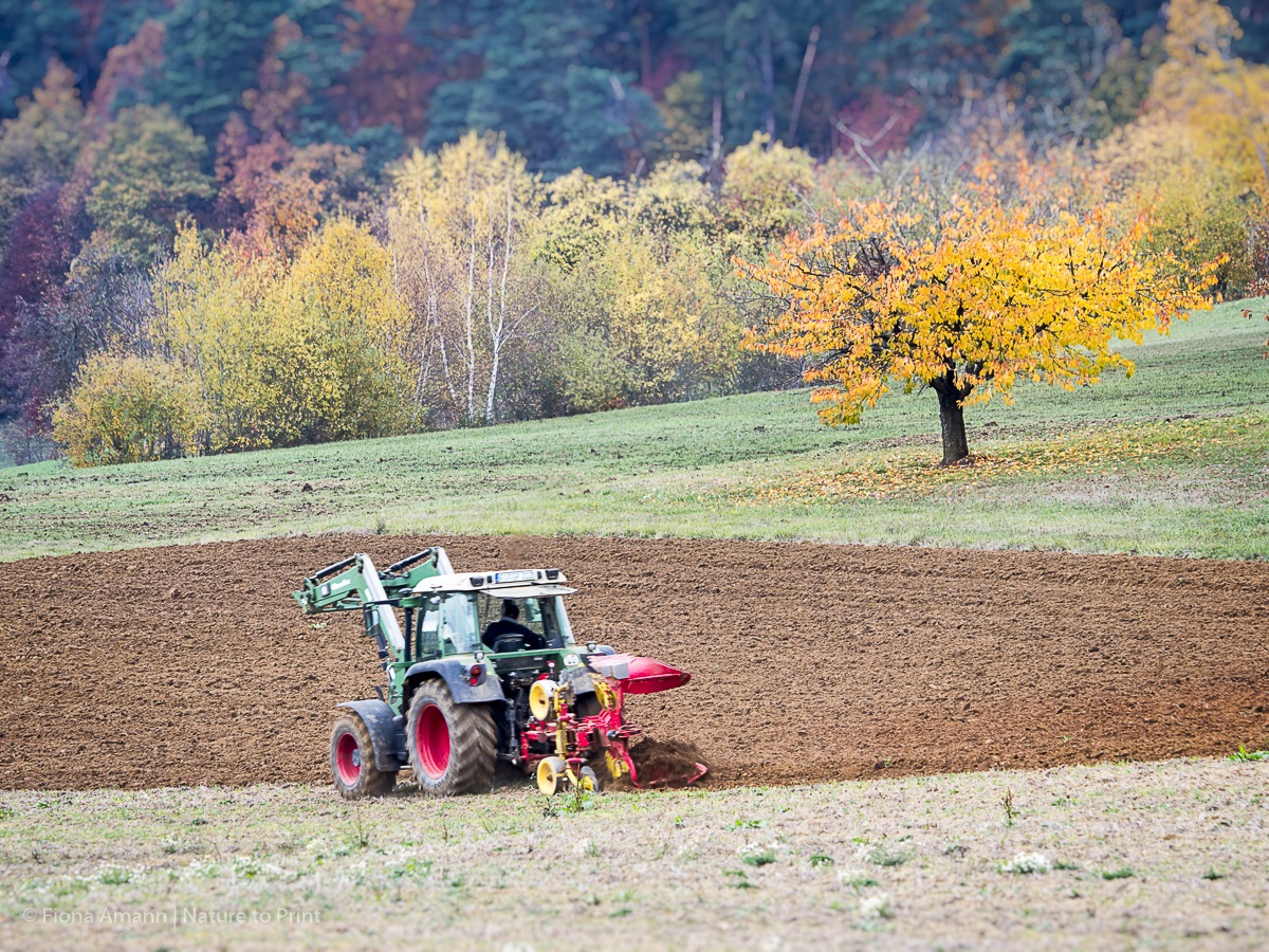 Erklärfilm Traktor und Pflug bei der Feldarbeit.