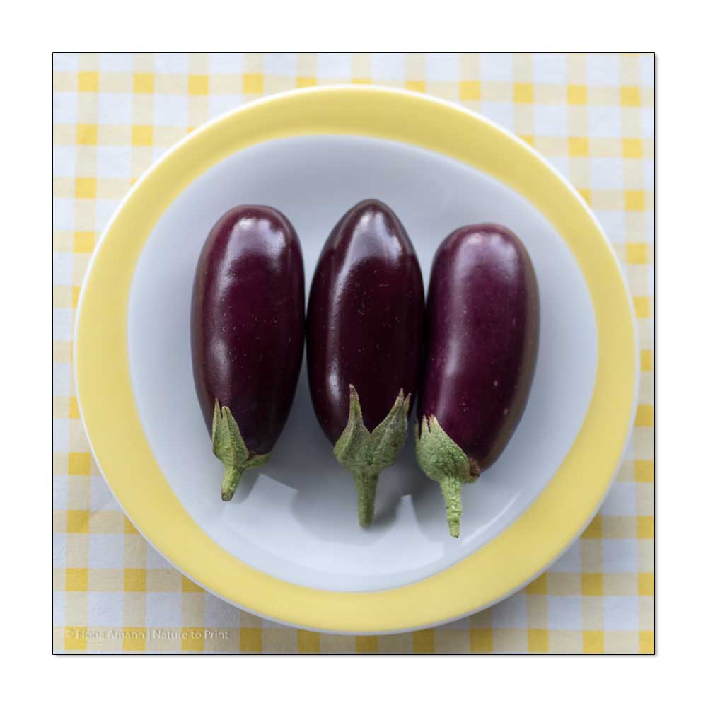 Mini-Auberginen im Topf. Kleine Früchte, große Ernte bis in den Herbst.